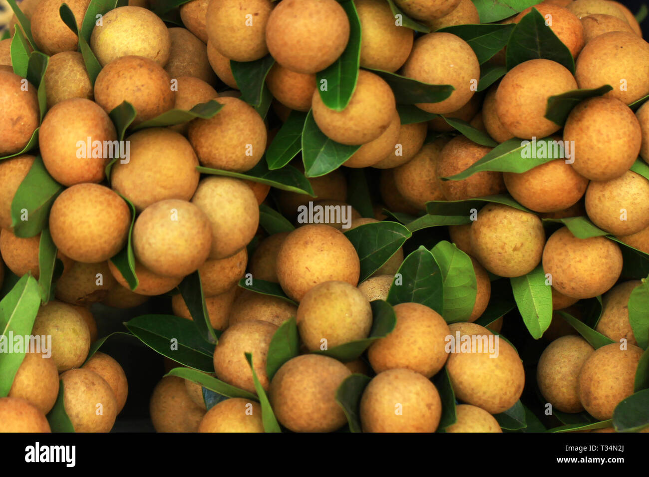 Longan fruit hi-res stock photography and images - Alamy