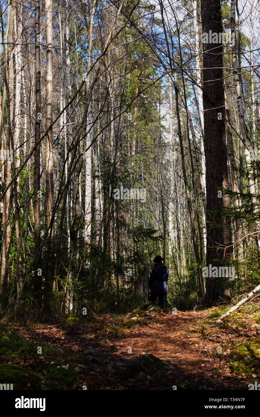 hiking through the forest Stock Photo - Alamy