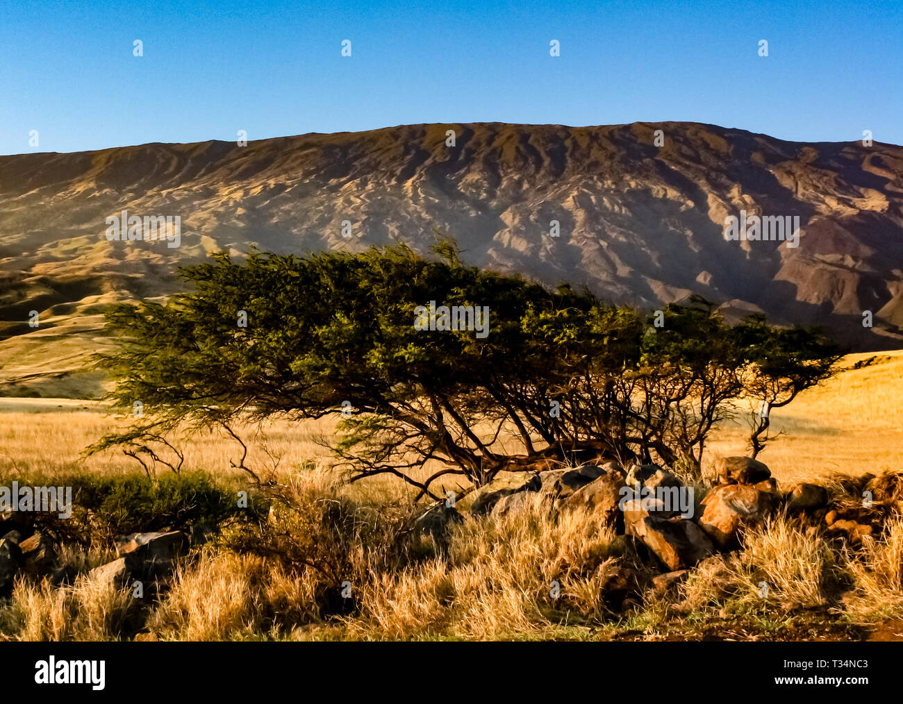 Haleakala national park travel destinations hi-res stock photography ...