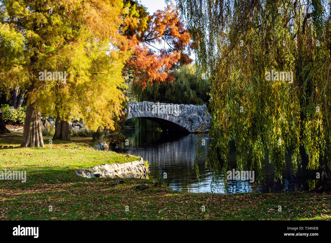 Bridge over a pond in a park, British Columbia, Canada Stock Photo - Alamy