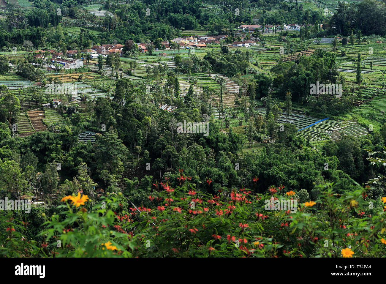 Lembang hi-res stock photography and images - Alamy