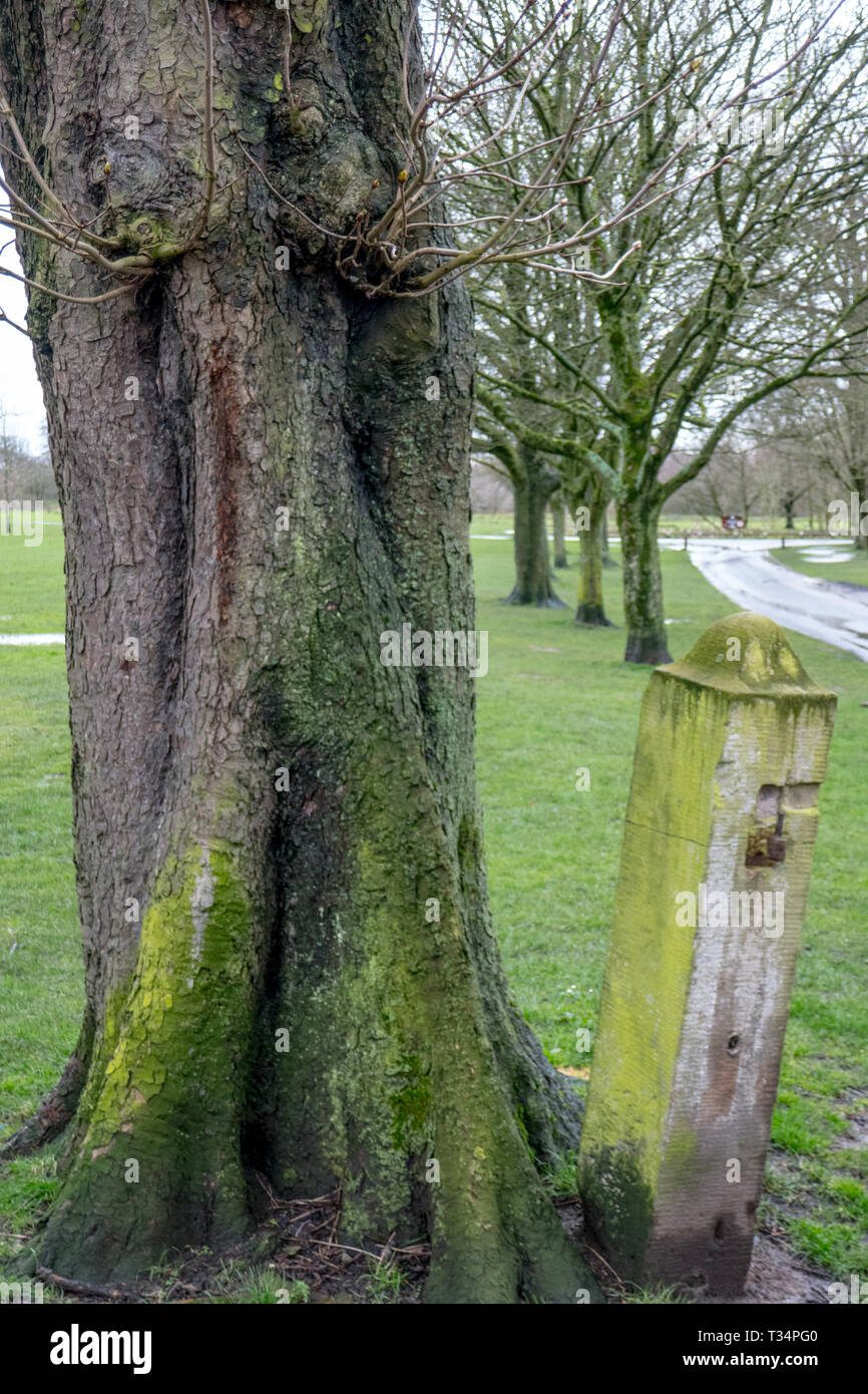 Worden Park, Leyland Stock Photo - Alamy
