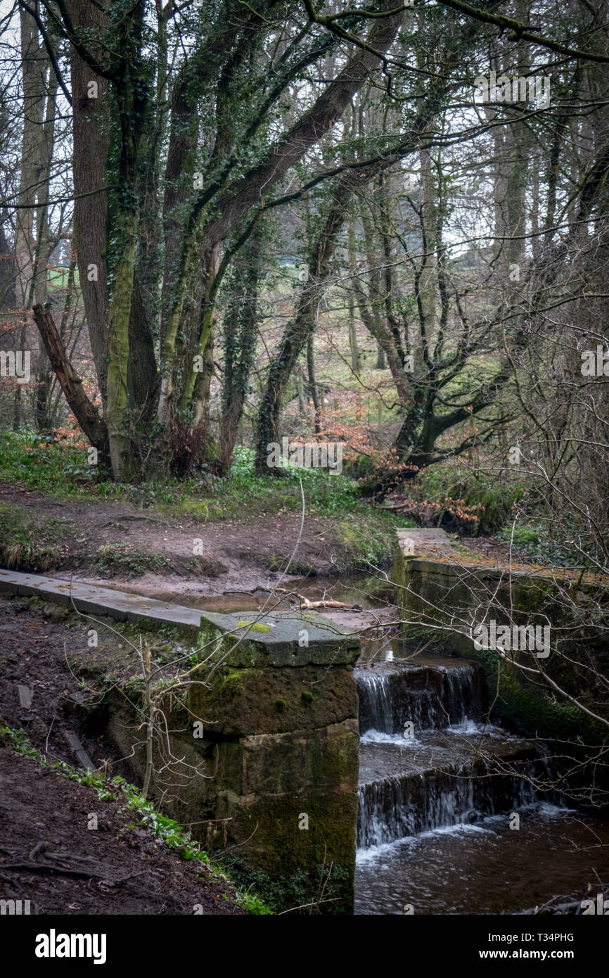 Worden park leyland hi-res stock photography and images - Alamy