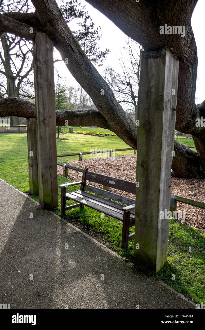 Worden park leyland hi-res stock photography and images - Alamy