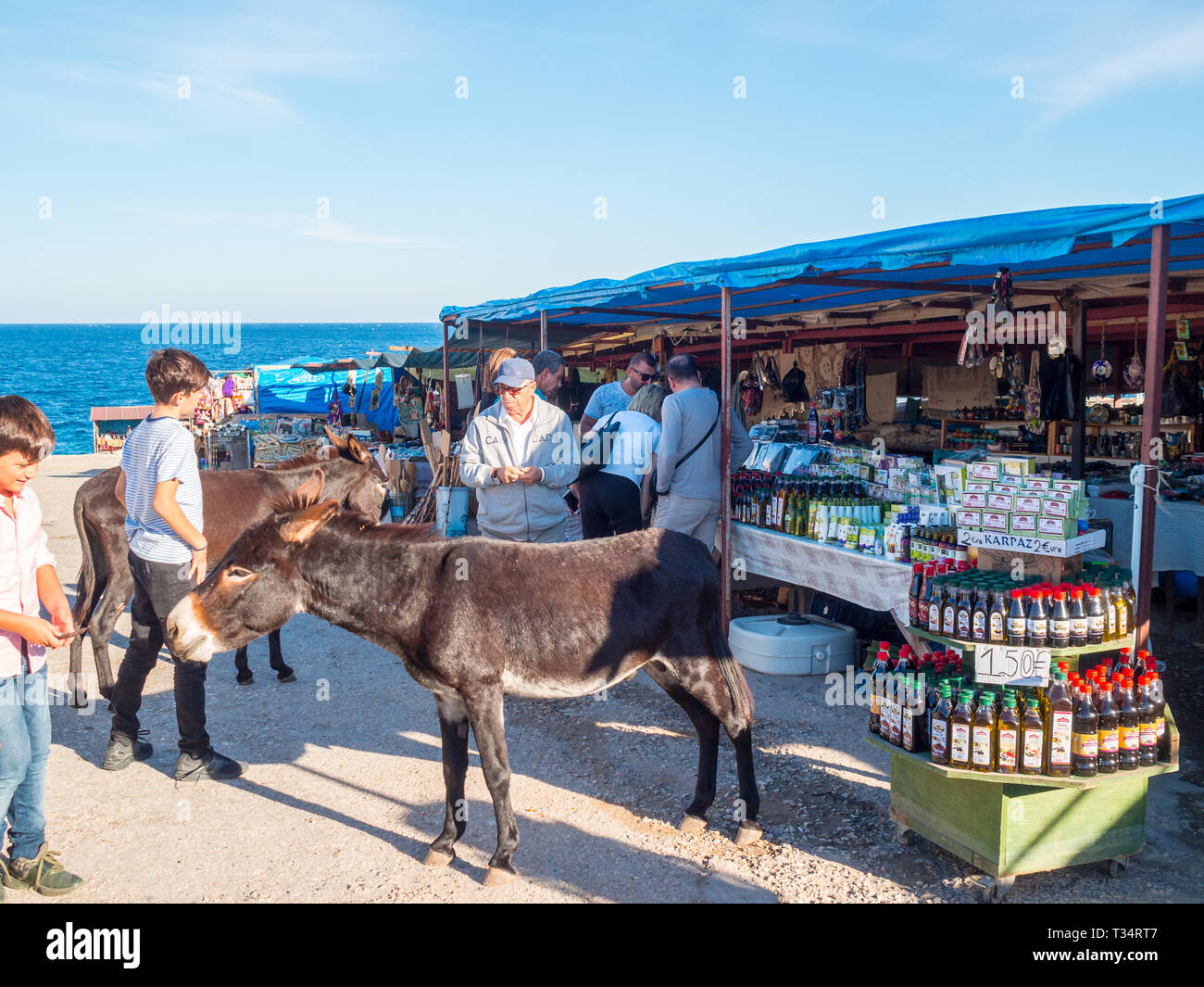 Feeding wild donkeys in North Cyprus Stock Photo - Alamy