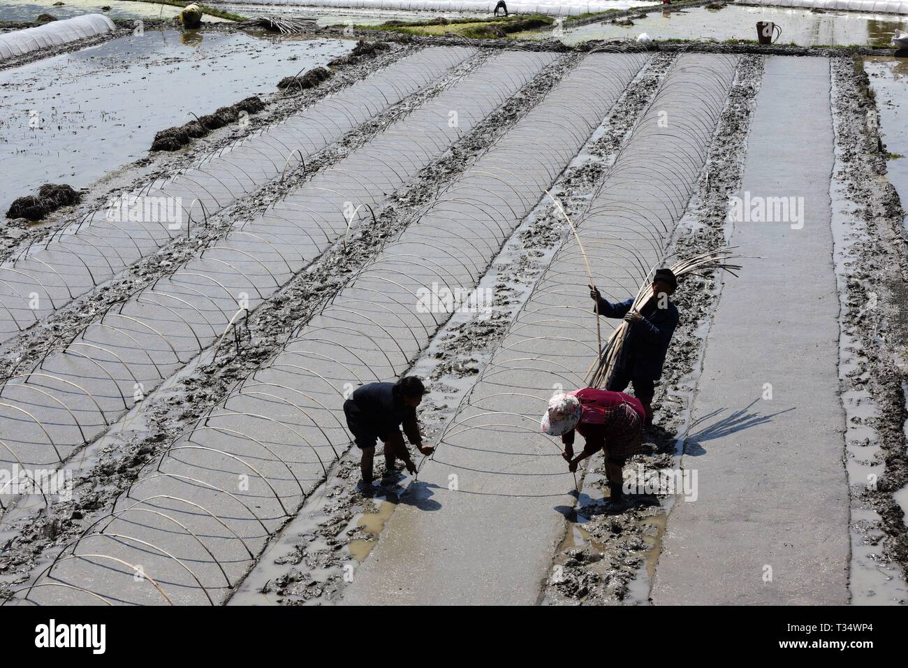 Chongqing, Chongqing, China. 6th Apr, 2019. Chongqing, CHINA-Peasants ...