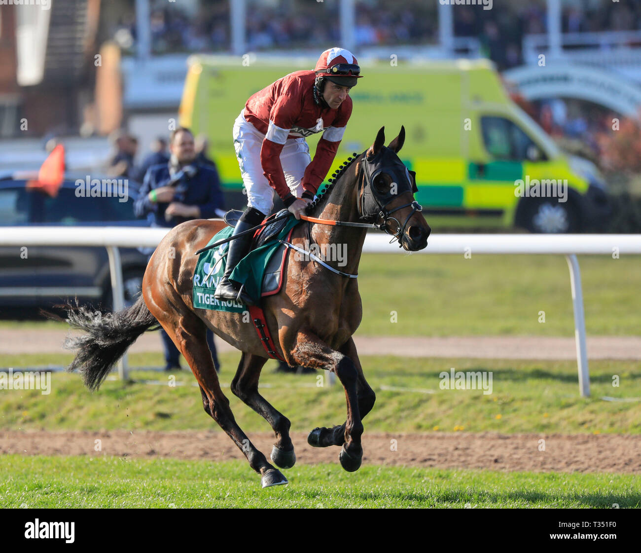 Tiger roll horse hi-res stock photography and images - Alamy