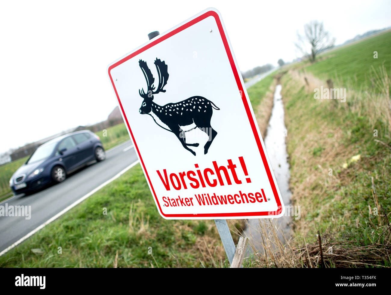 Traffic sign warning wildwechsel hi-res stock photography and images ...