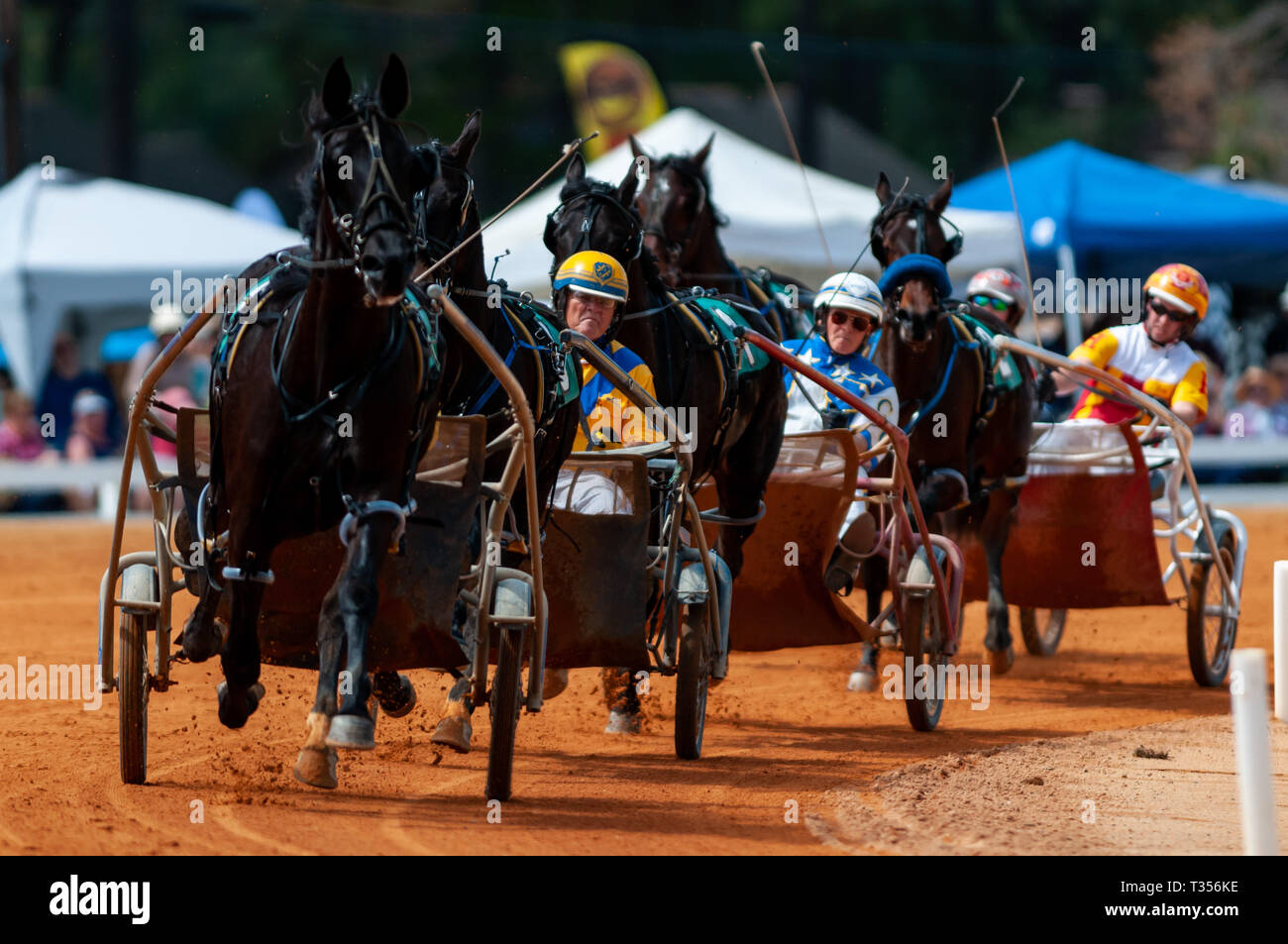 Sulky and jog cart hi-res stock photography and images - Alamy
