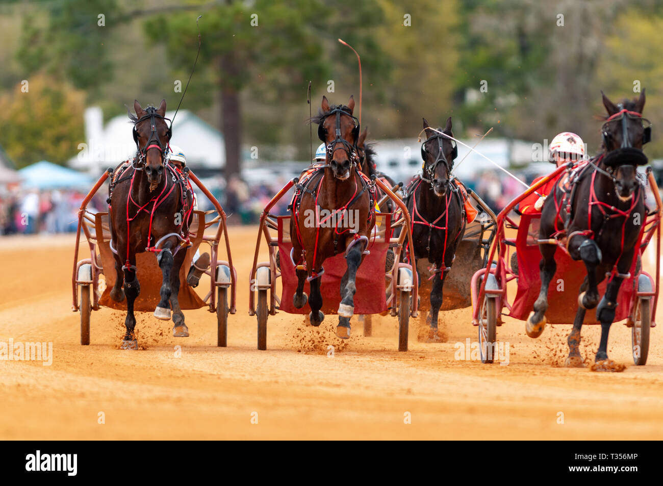 Sulky drivers hi-res stock photography and images - Alamy