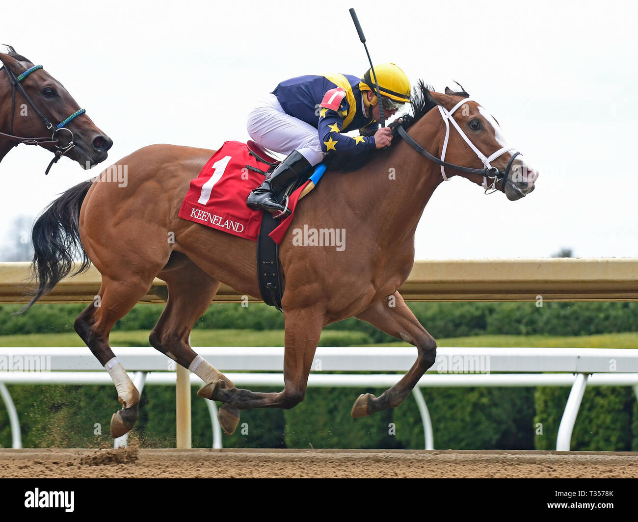 Covefefe hi-res stock photography and images - Alamy