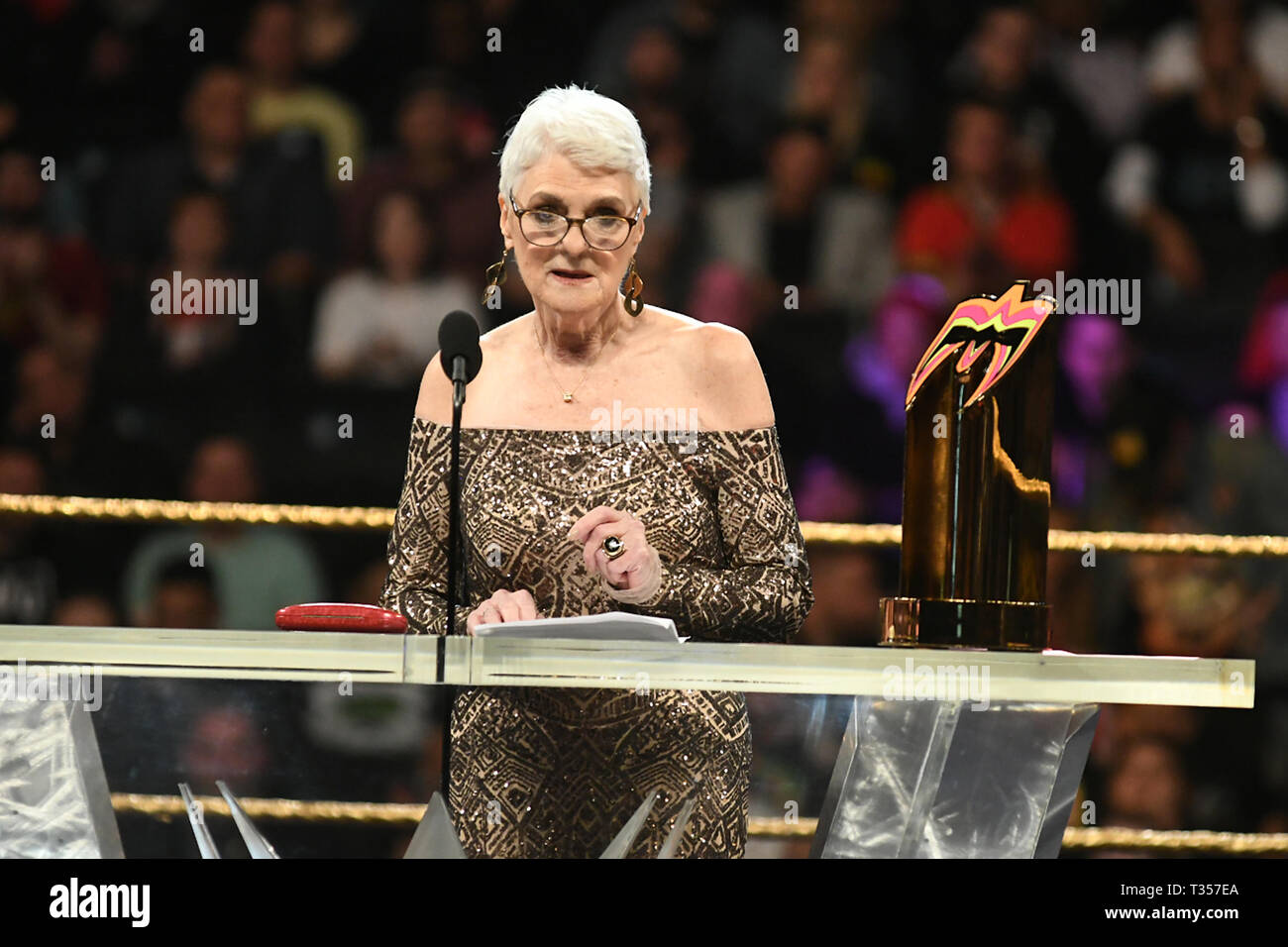 New York, USA. 6th Apr, 2019. Sue Aitchison at the 2019 WWE Hall Of ...