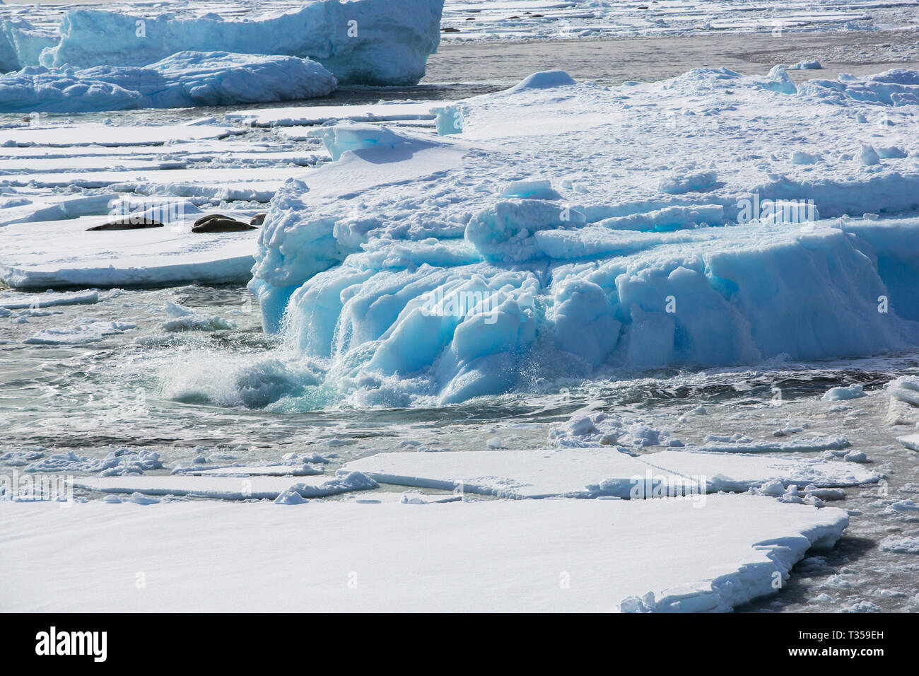 Icebergs and sea ice near Crystal Sound and the Bisoce islands on they ...