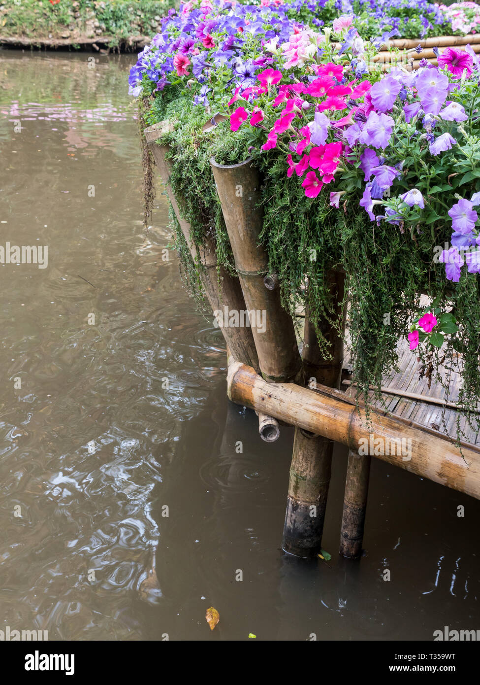 Bamboo terrace hi-res stock photography and images - Alamy