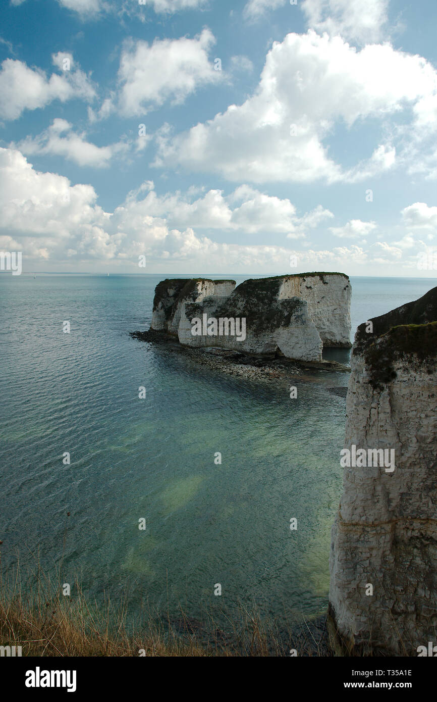 Old Harry rocks, located on the Dorset coast in the UK. In portrait ...