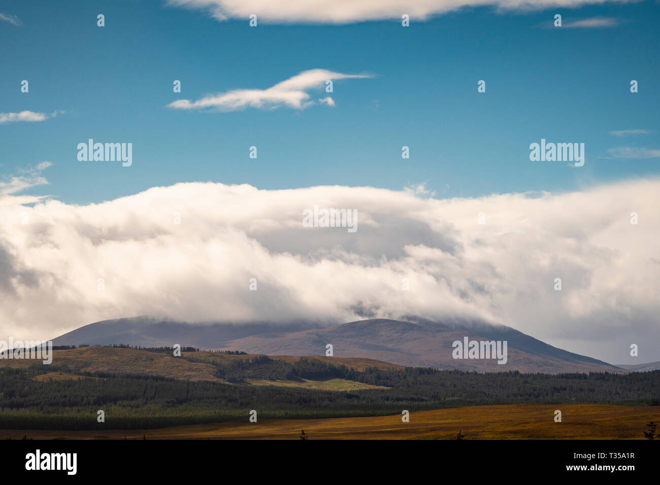 Kinbrace hi-res stock photography and images - Alamy