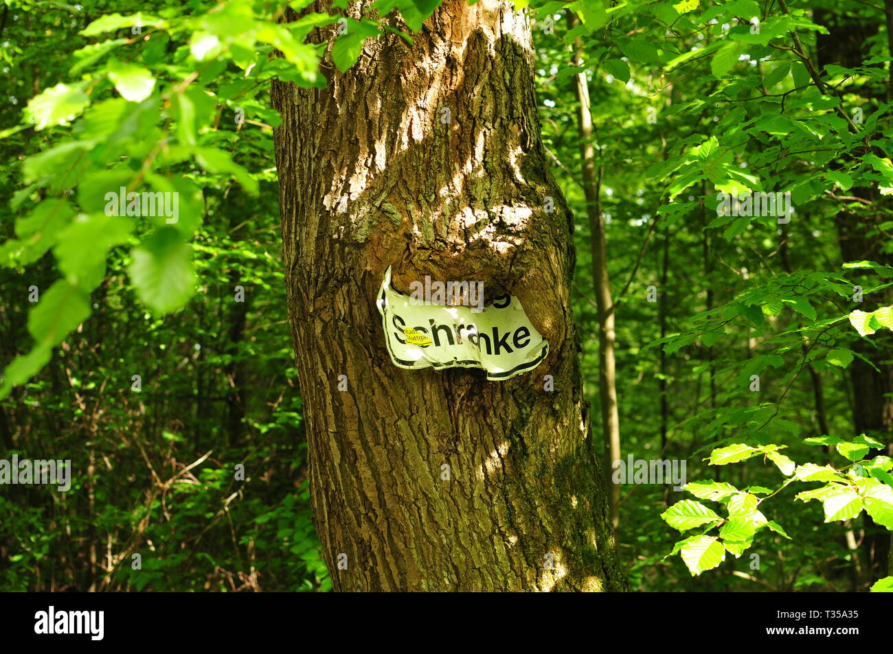 shield ingrown in a tree with the text barrier Stock Photo - Alamy