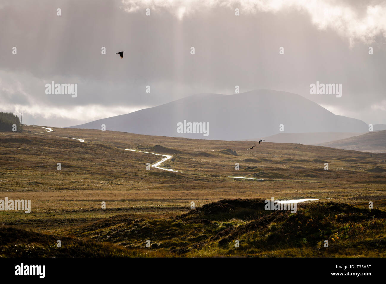 Lairg scotland hi-res stock photography and images - Alamy