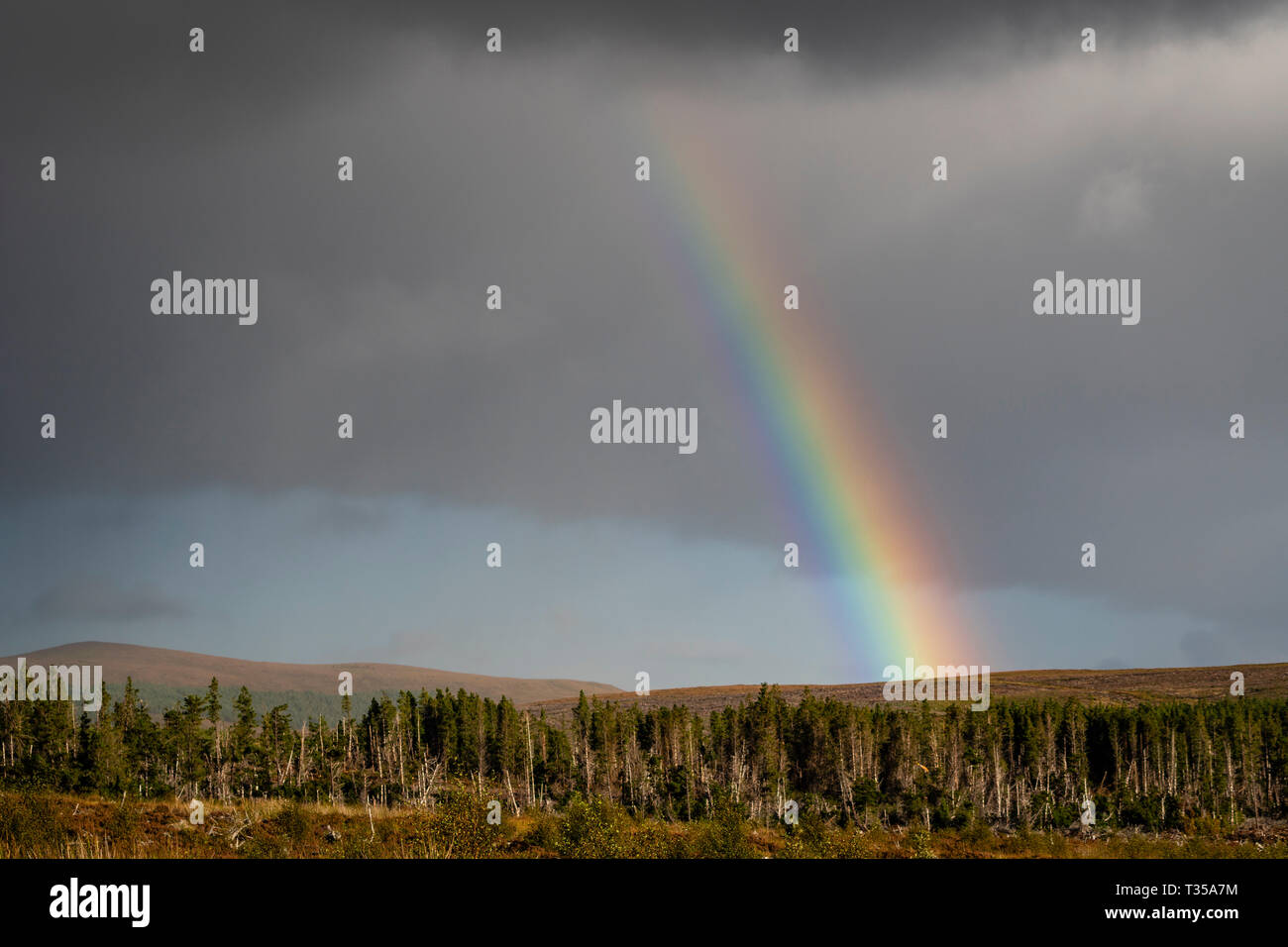 Scotland rainbow rain clouds sun hi-res stock photography and images ...