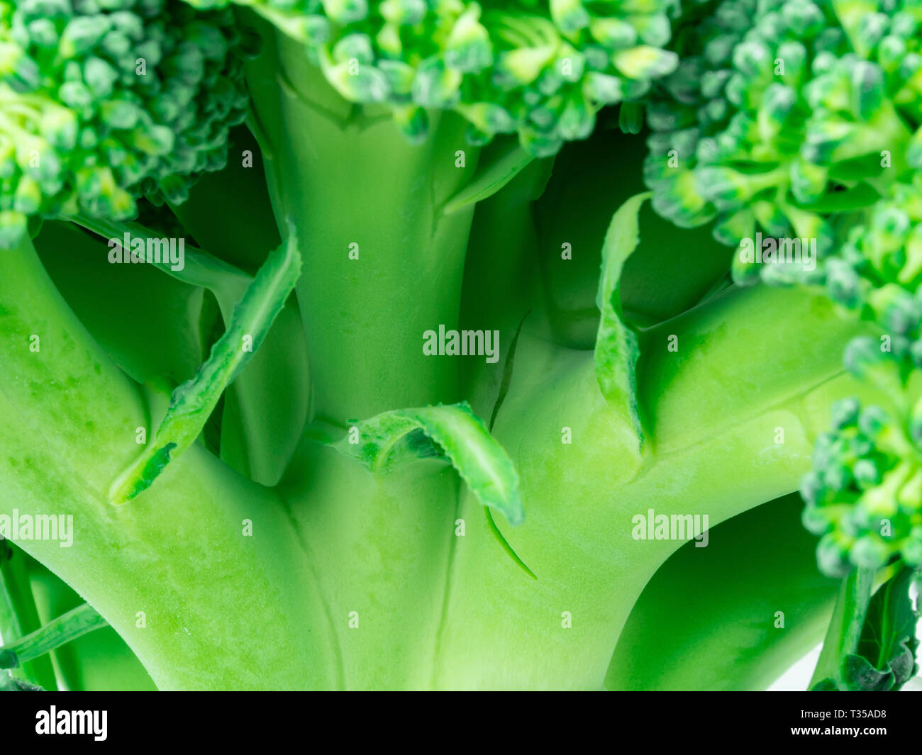 Broccoli stalks hi-res stock photography and images - Alamy