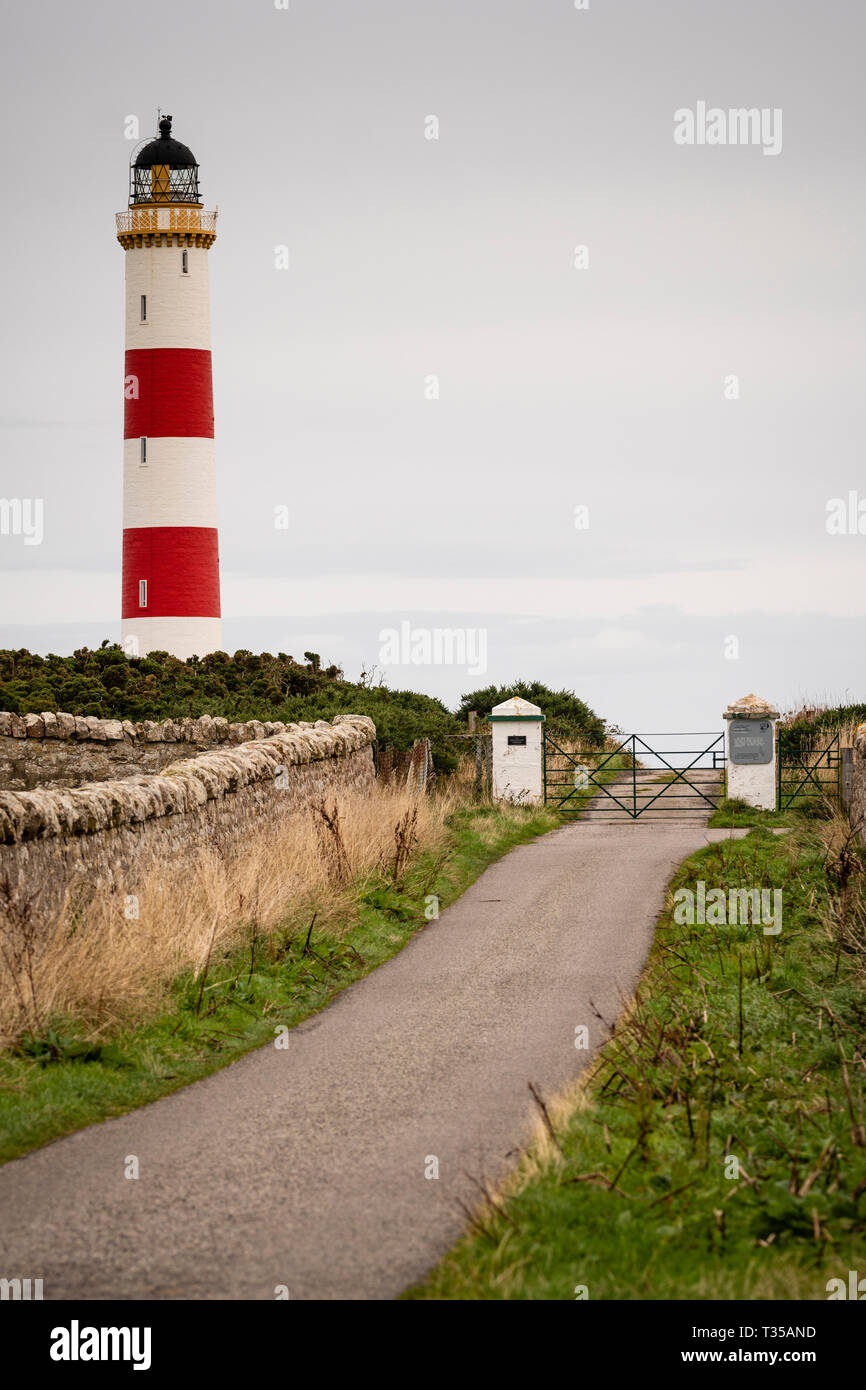 Tarbat Ness lighthouse near Portmahomack, Scotland Stock Photo - Alamy