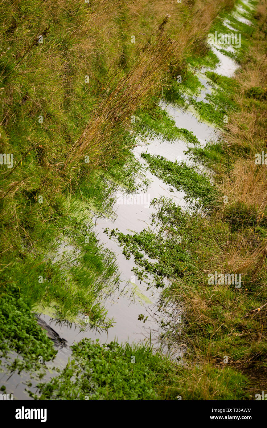 Drainage ditch erosion hi-res stock photography and images - Alamy