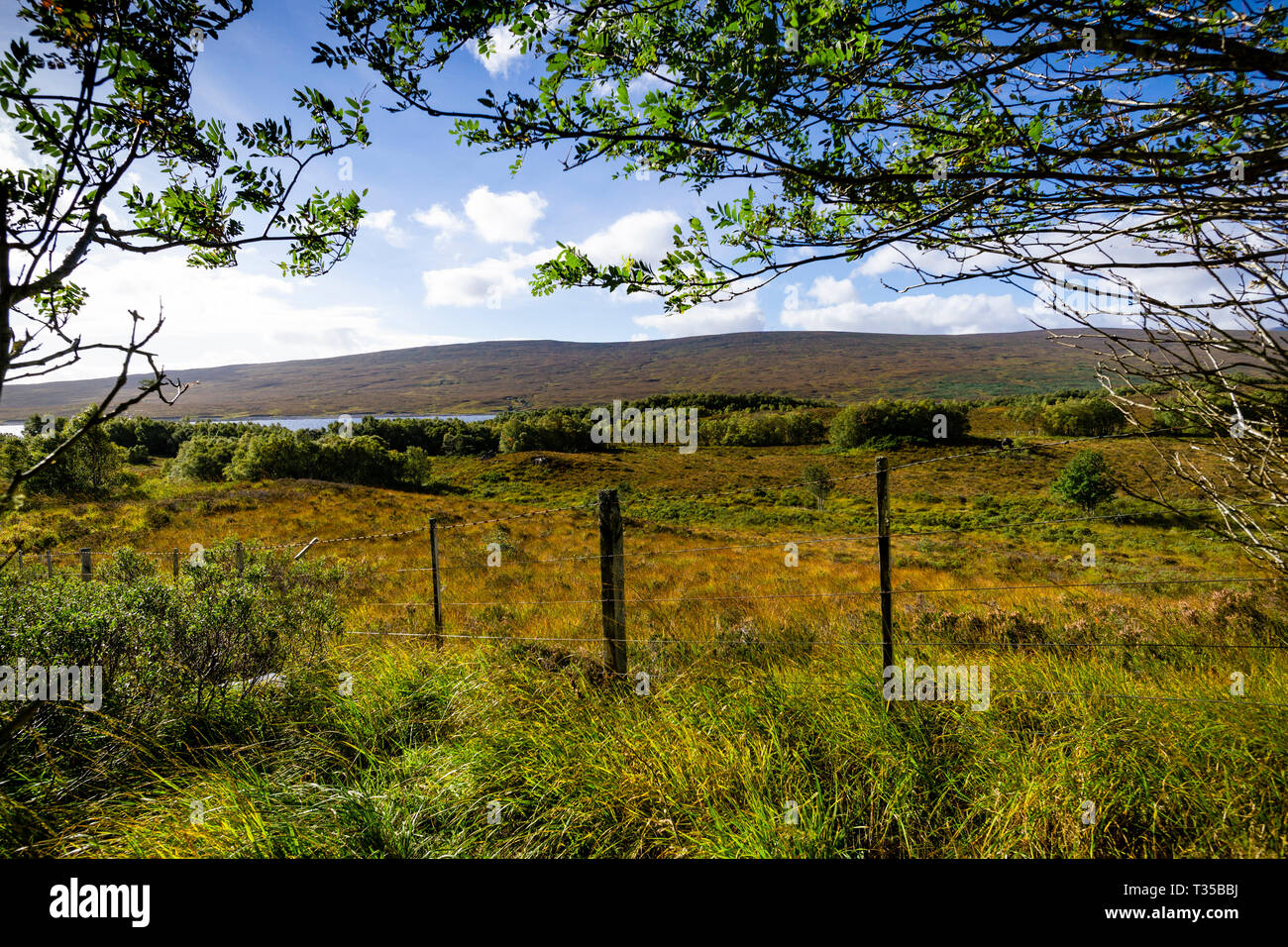 Loch shin scotland hi-res stock photography and images - Alamy