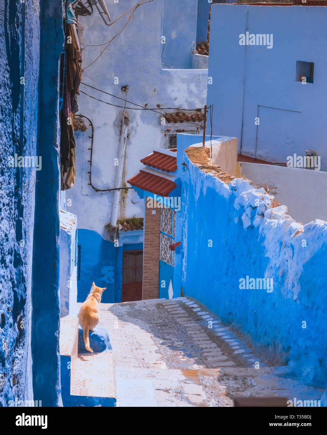Amazing view of the street in the blue city of Chefchaouen. Location ...