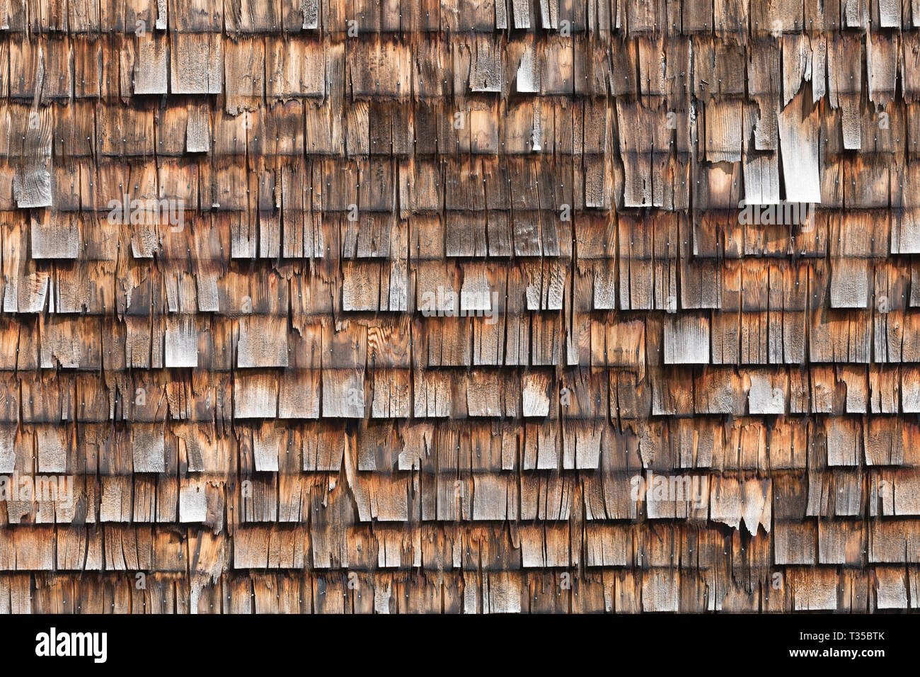 texture of wooden shingles Stock Photo - Alamy