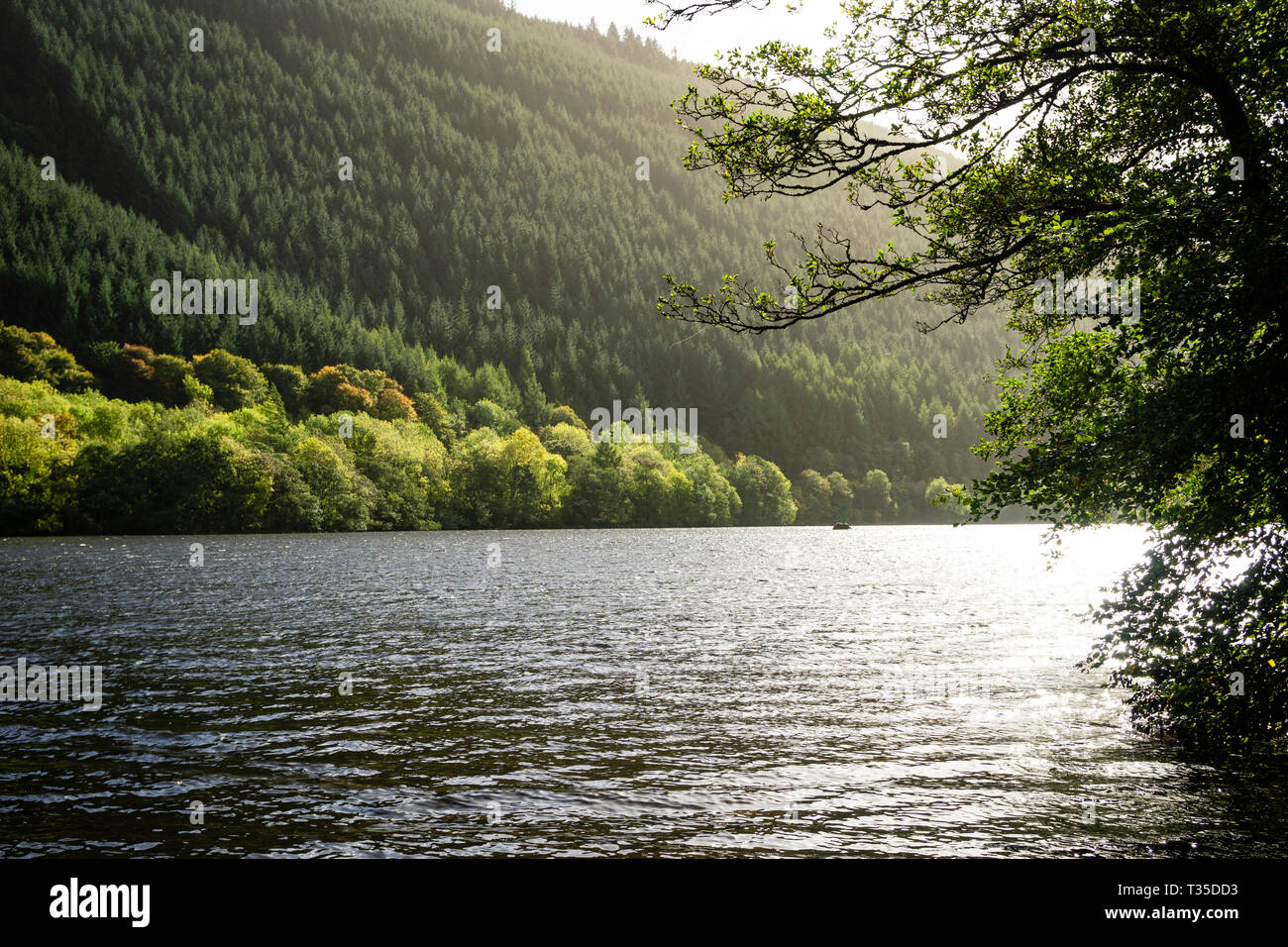 Loch ness silhouette hi-res stock photography and images - Alamy
