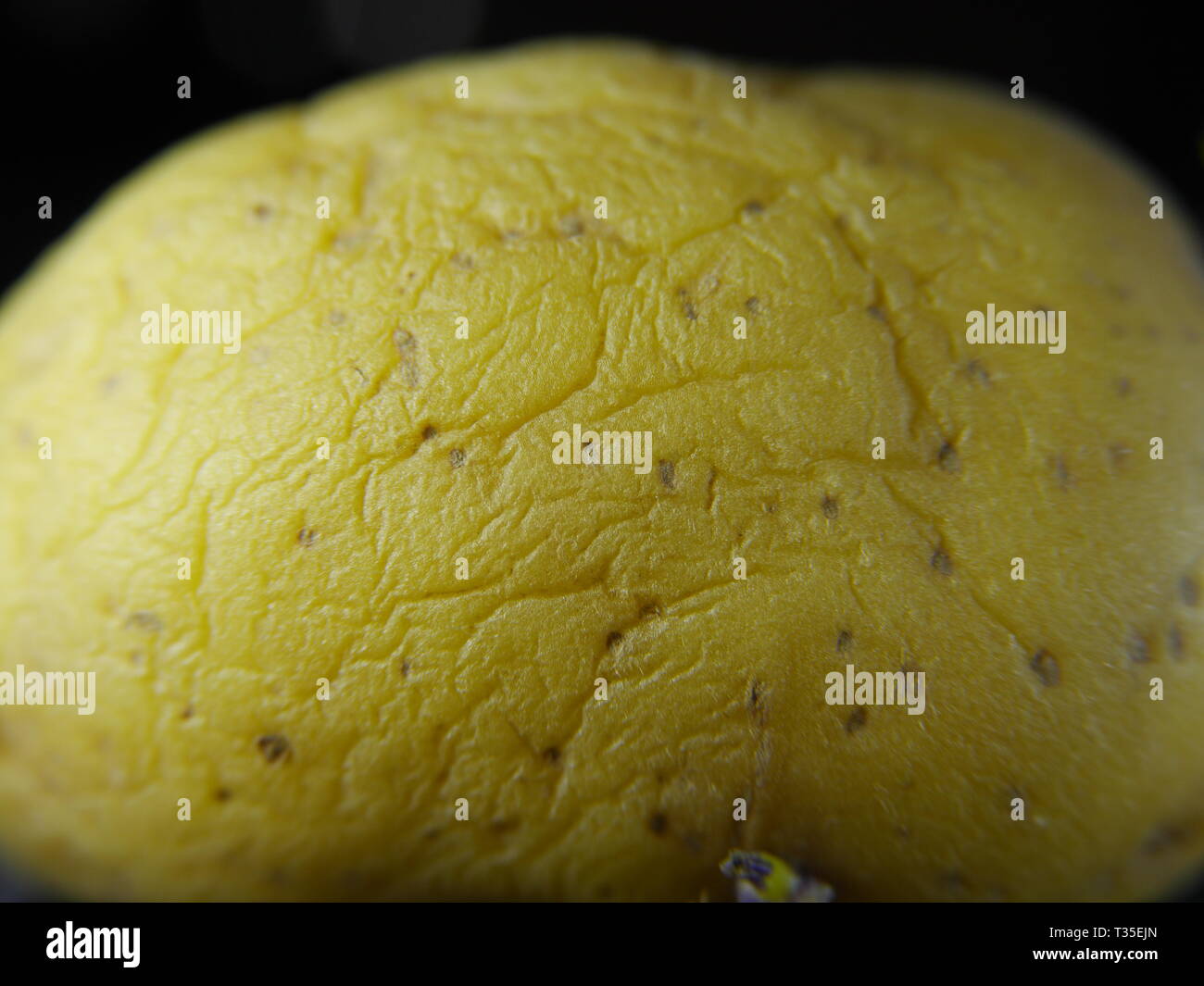 Old potato hi-res stock photography and images - Alamy