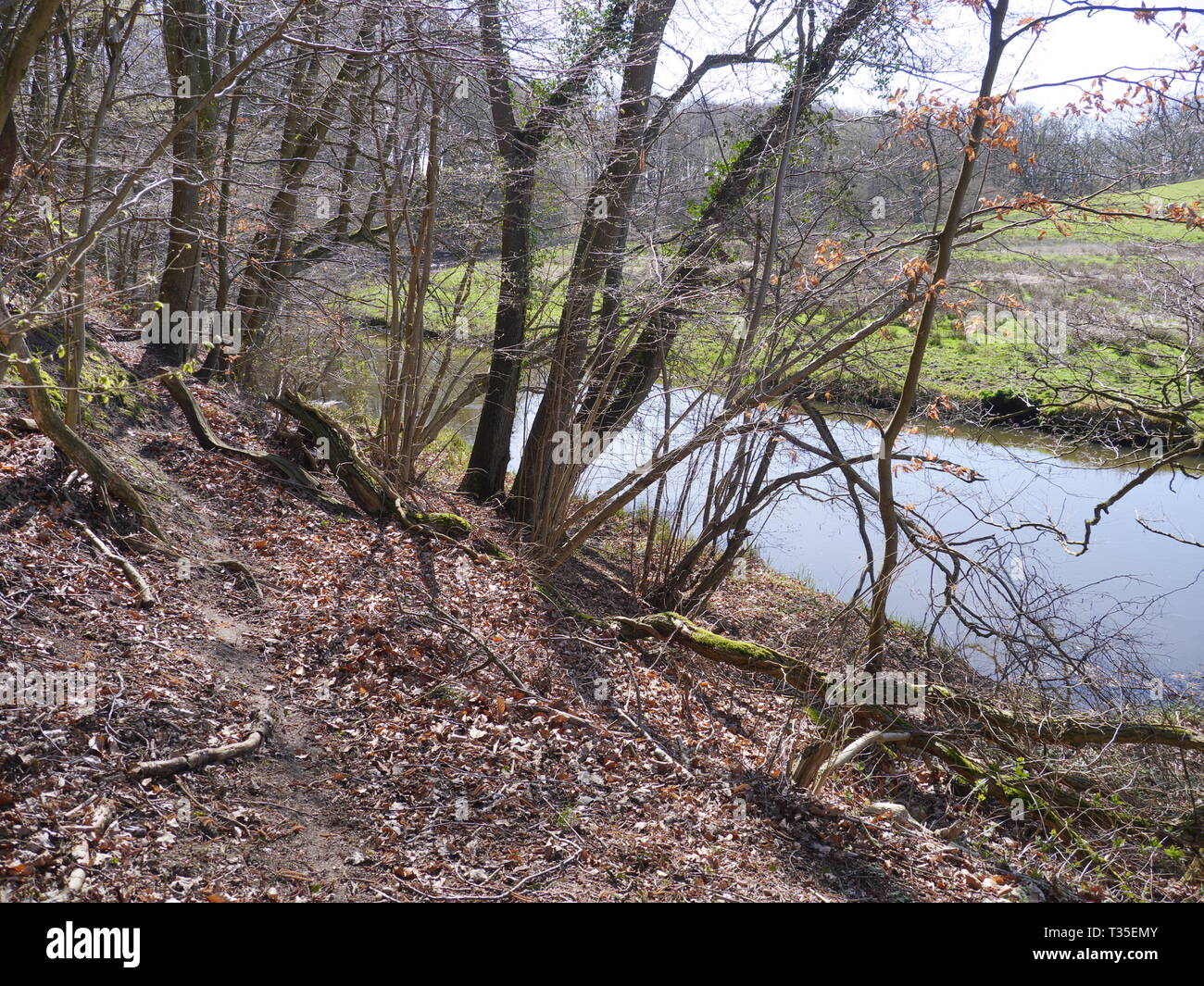Beautiful river shore Stock Photo - Alamy