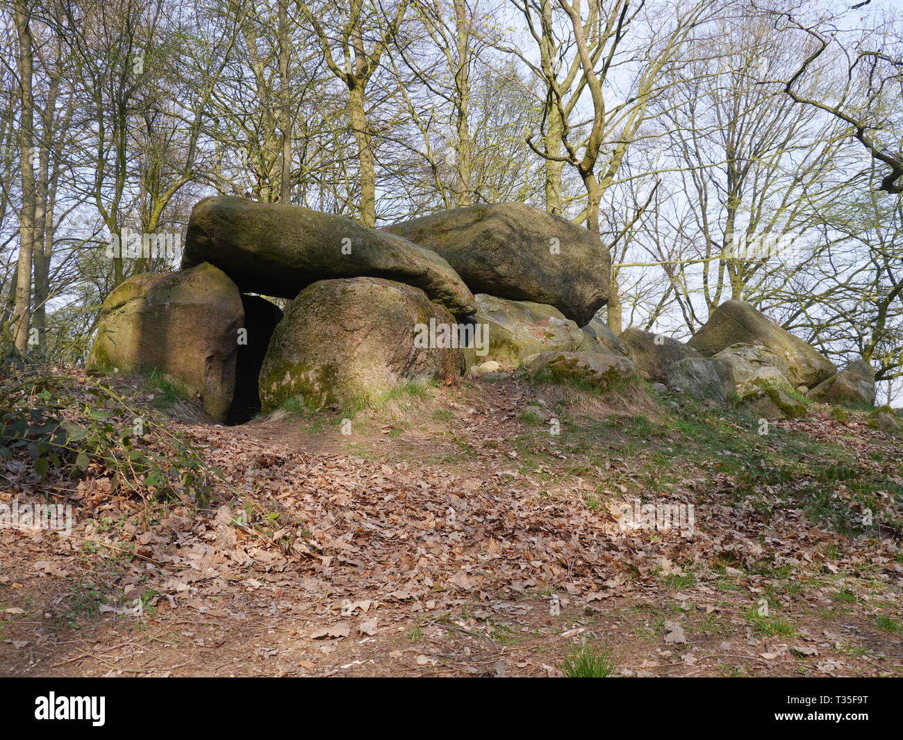 Megalithic tomb on a small hill in forest of Mecklenburg-Western ...