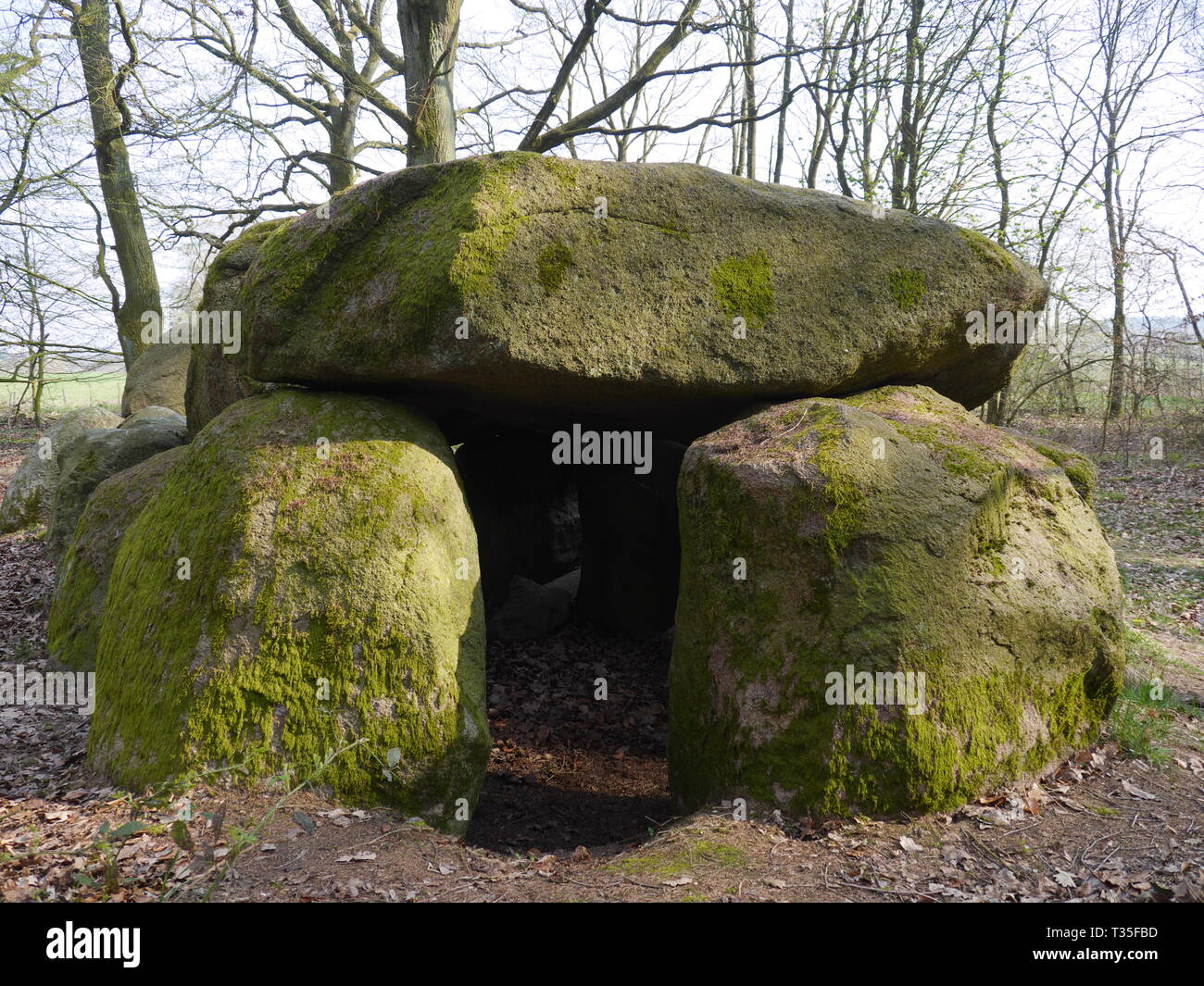 Tourist attraction megalithic tomb in forest of Mecklenburg-Western ...