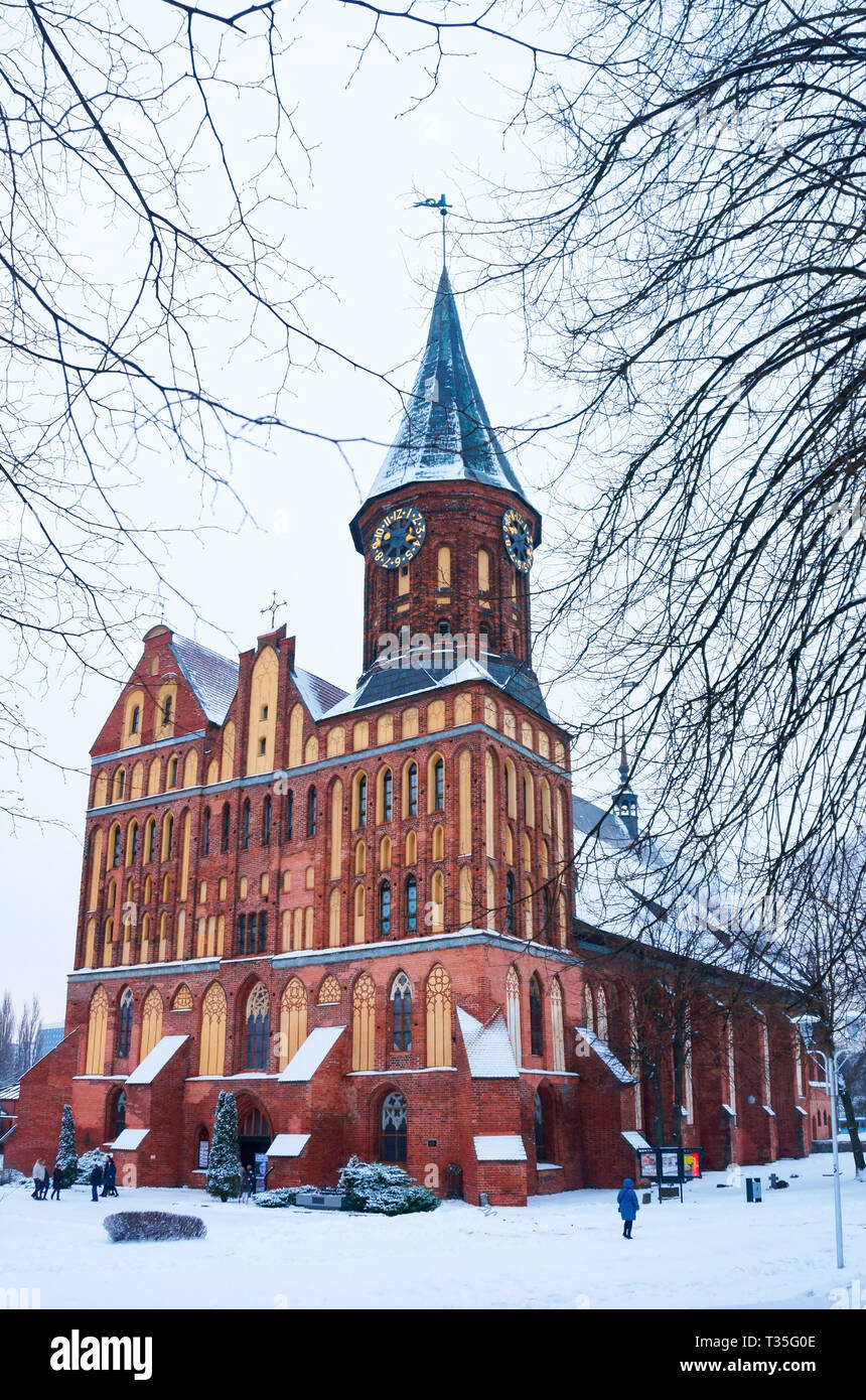 Cathedral in Kaliningrad, grave of Immanuel Kant in Kaliningrad ...