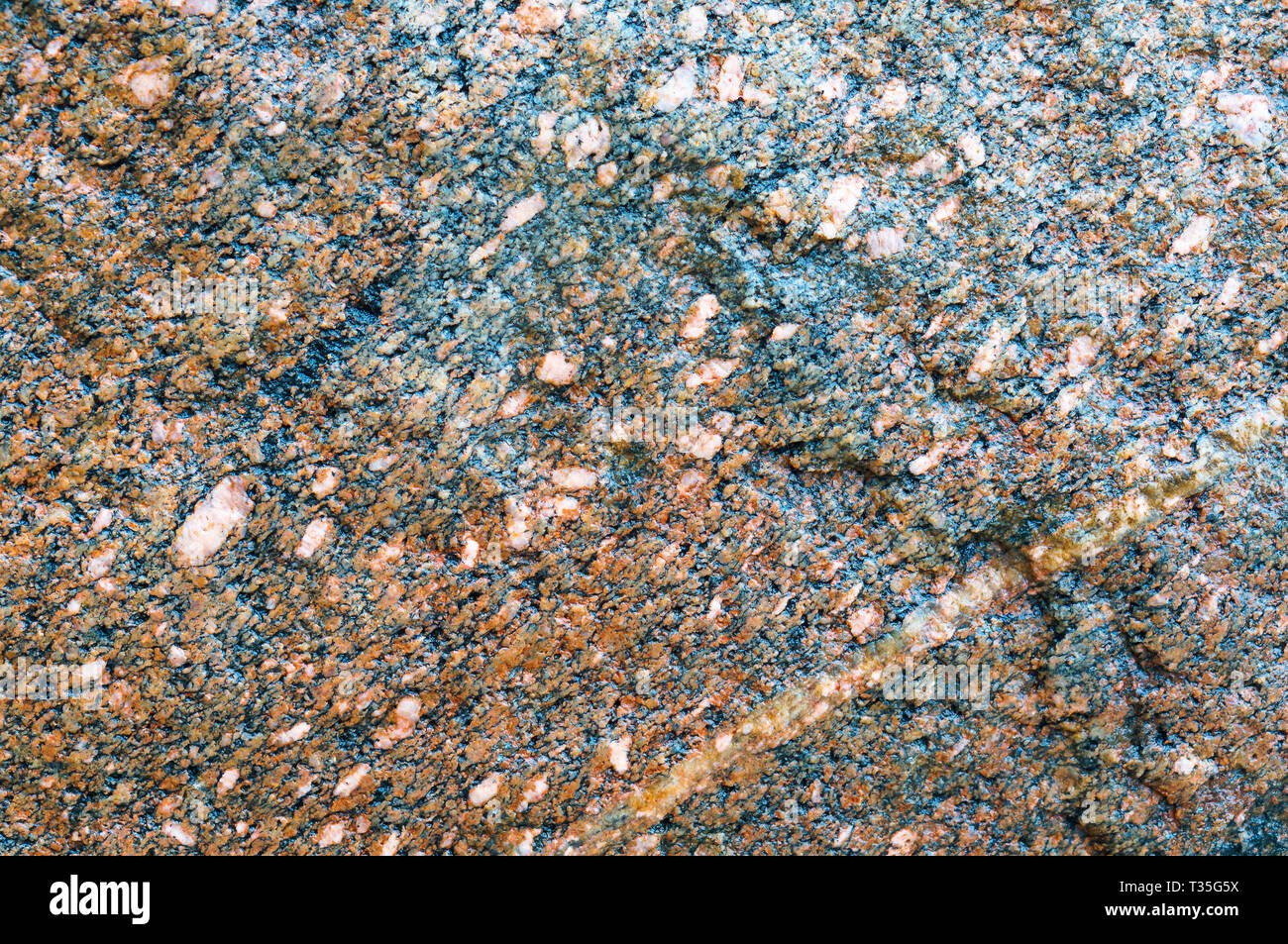 the background of sea stone, the texture of the stone Stock Photo - Alamy
