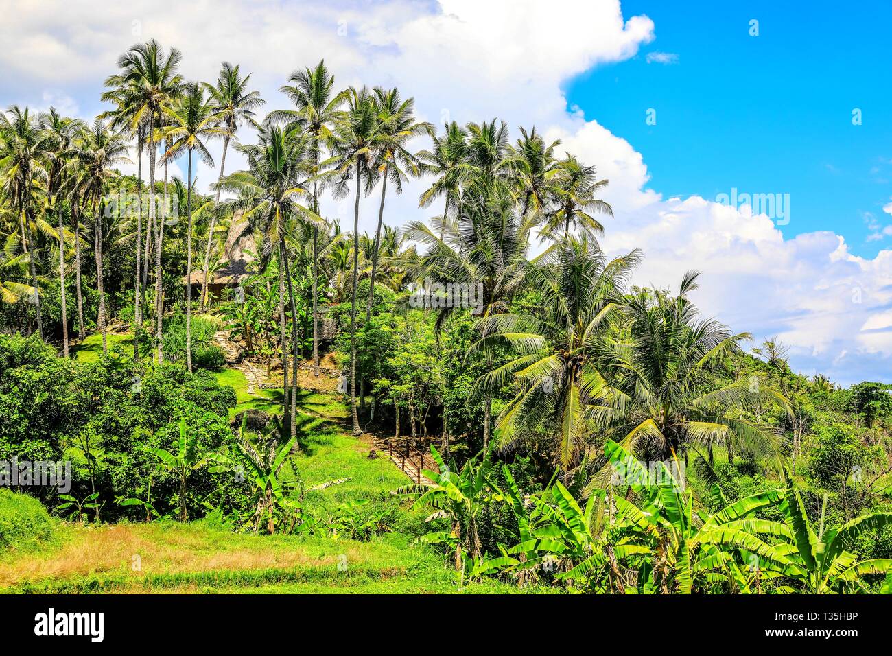 Sumba island indonesia beach hi-res stock photography and images - Alamy