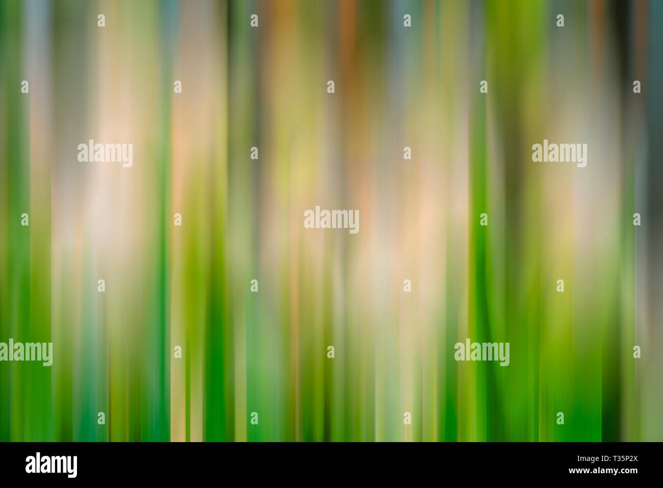 Abstract vertical green lines background Stock Photo - Alamy