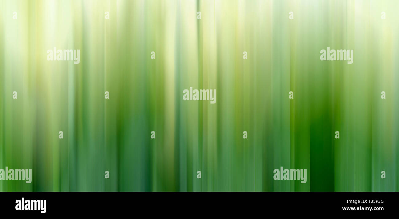 Abstract vertical green lines background Stock Photo - Alamy