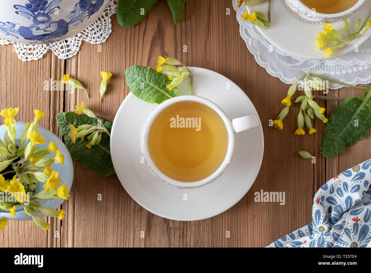 A cup of herbal tea with fresh wild primula flowers, top view Stock ...