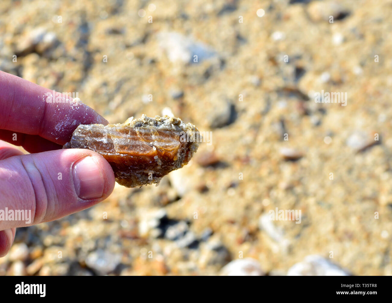Fragment of a gypsum stone mineral in a man's hand Stock Photo - Alamy