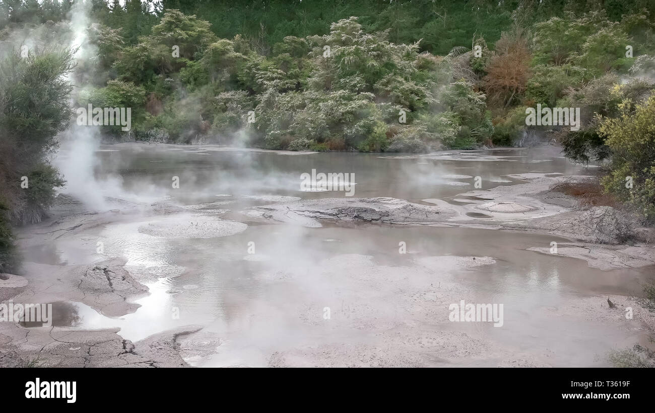 Boiling mud pool new zealand hi-res stock photography and images - Alamy