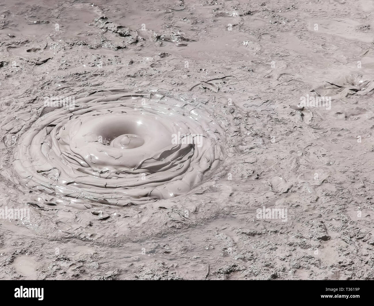 close up shot of thick boiling mud pool near rotorua Stock Photo - Alamy