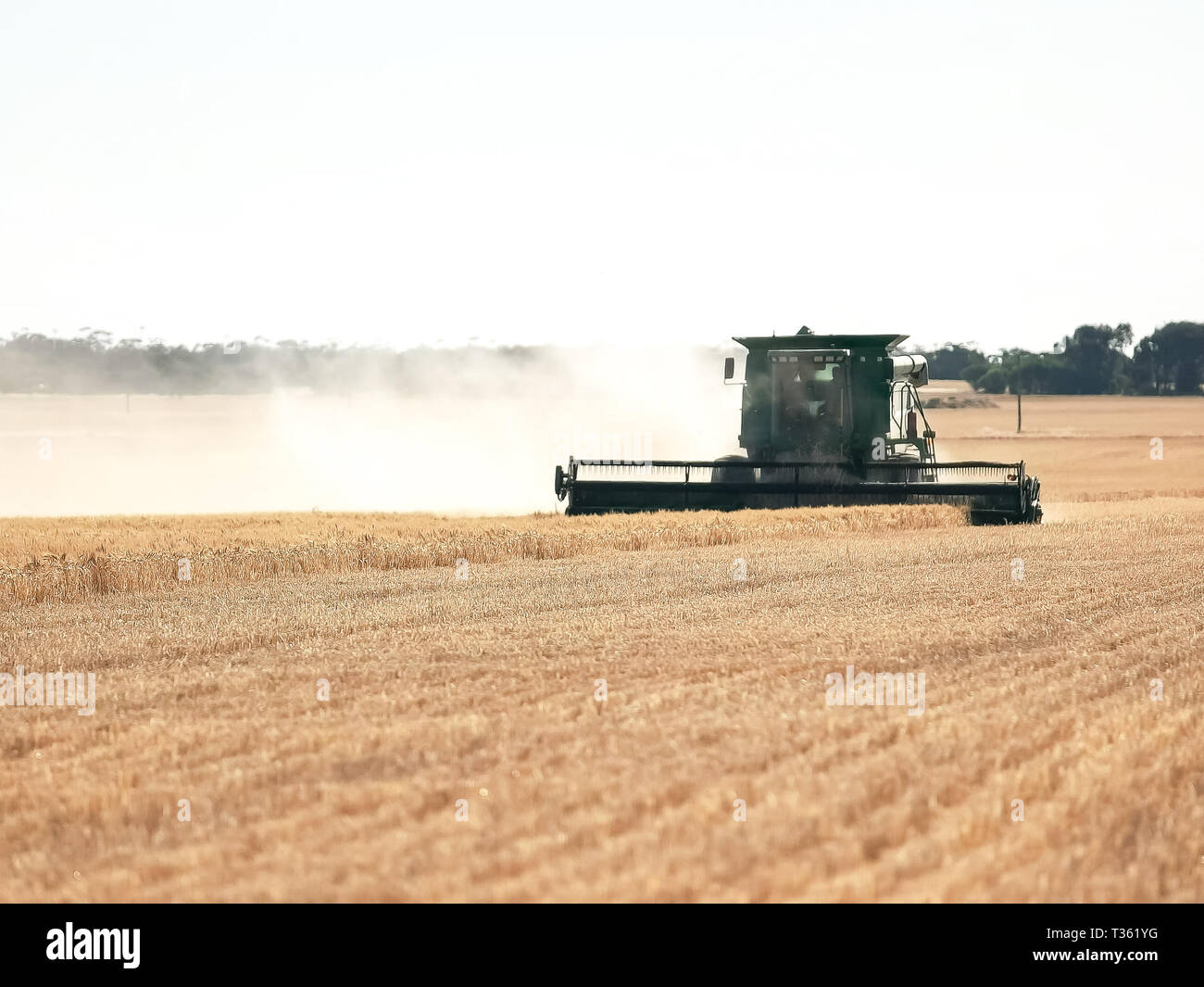 long shot of a backlit silhouetted header being used on a farm to ...