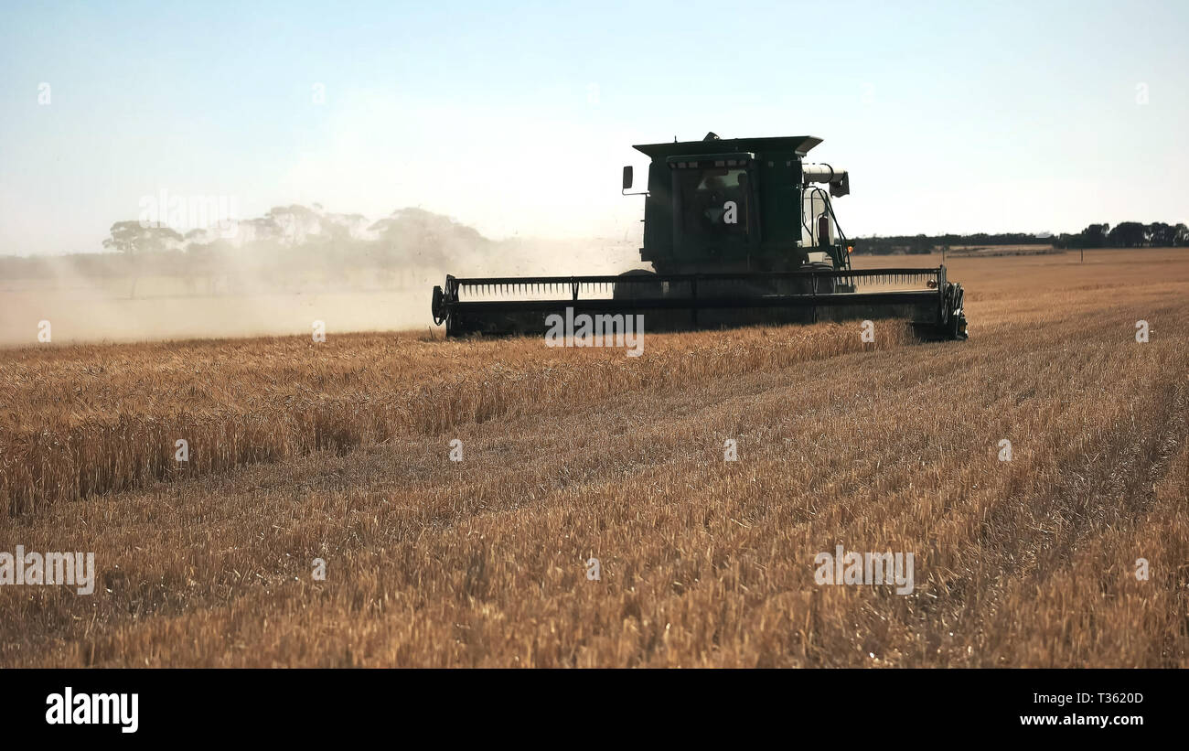 backlit shot of combine harvester in western australia Stock Photo - Alamy