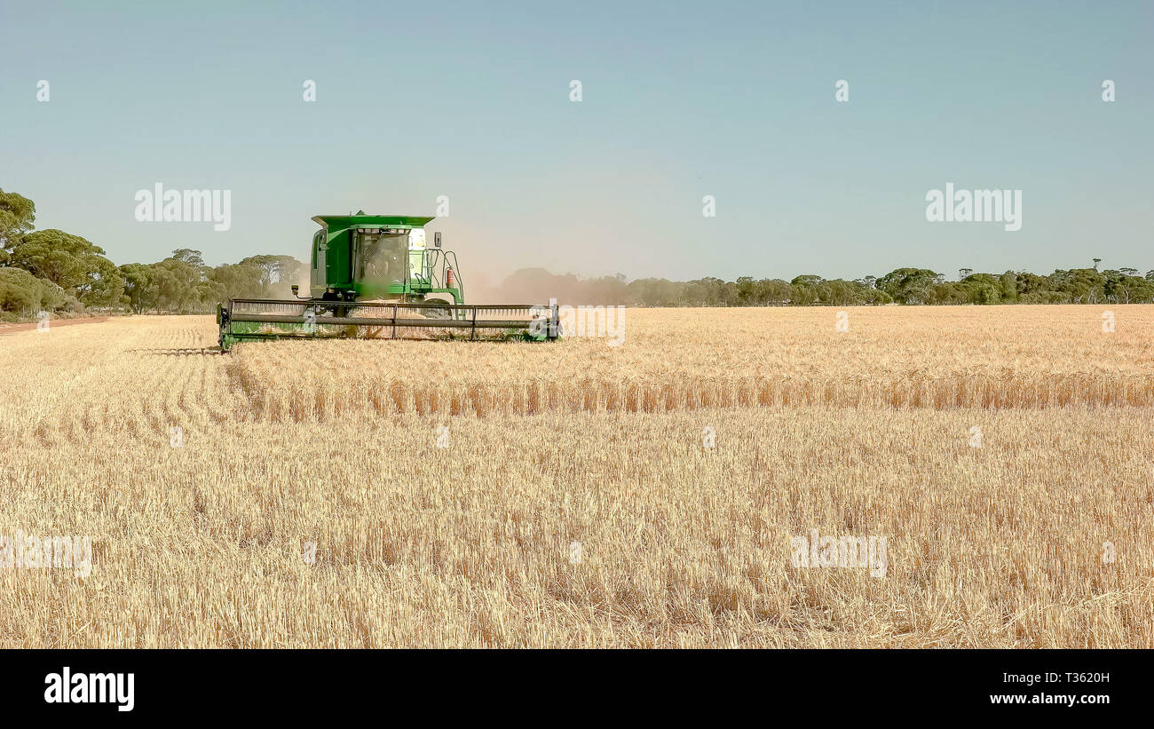 Combine harvester being used harvest hi-res stock photography and ...