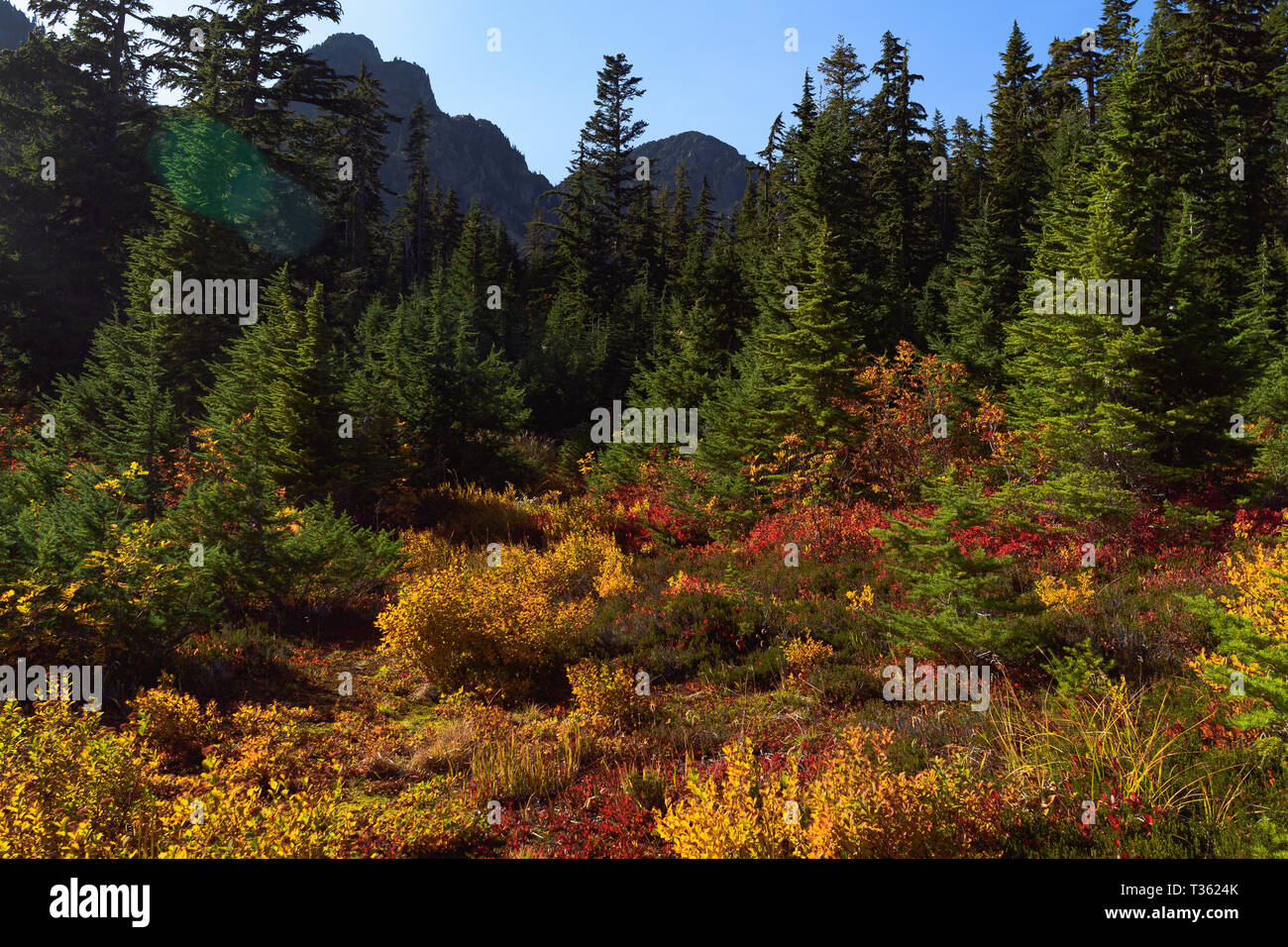 Cascades cascade hi-res stock photography and images - Alamy