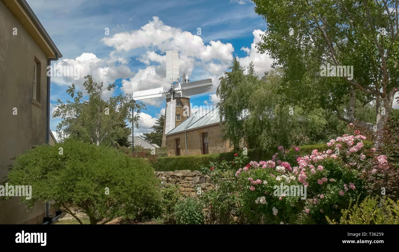 Rose windmill hi-res stock photography and images - Alamy