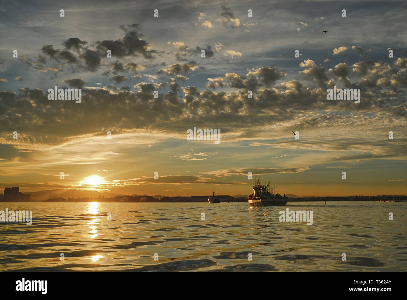 A day tripper fishing boat heading out to sea in the early morning ...