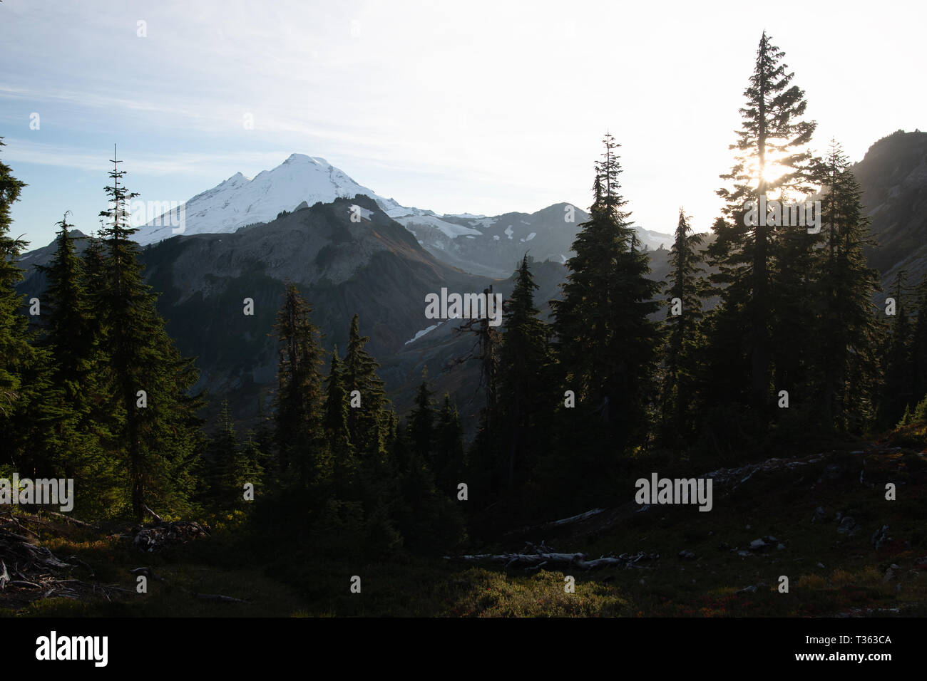 Reflection from artist point hi-res stock photography and images - Alamy